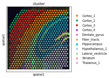 Tutorial - SpatialOmics — spatialHeterogeneity documentation