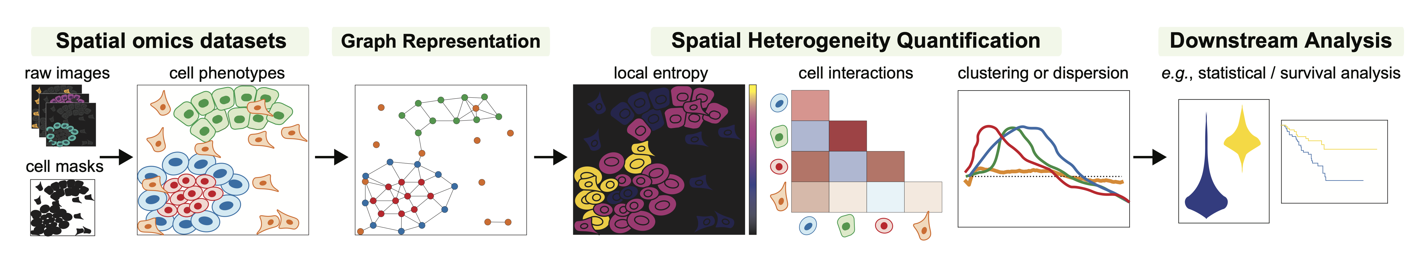 Overview — spatialHeterogeneity documentation